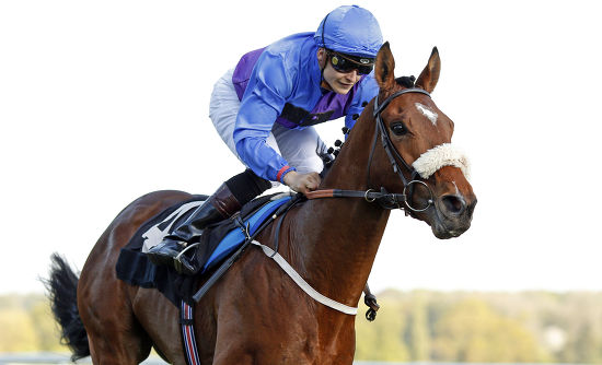 Duke Bronte Ryan Tate Wins Dubai Editorial Stock Photo - Stock Image ...