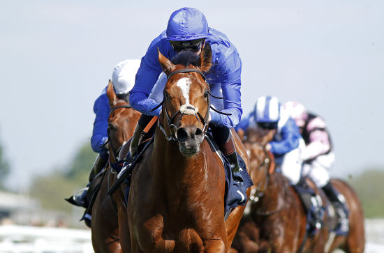 Barney Roy James Doyle Wins Jlt Editorial Stock Photo - Stock Image ...