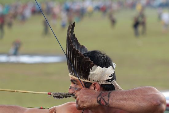 Brazilian Indigenous Person Draws Bow During Editorial Stock Photo ...