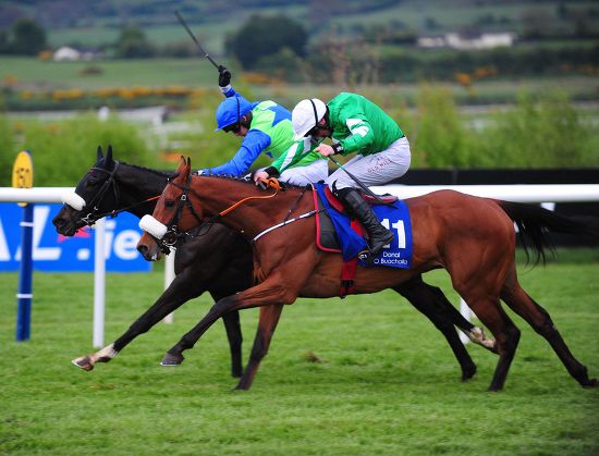 Punchestown Canardier Mark Ohare Inside Win Editorial Stock Photo ...