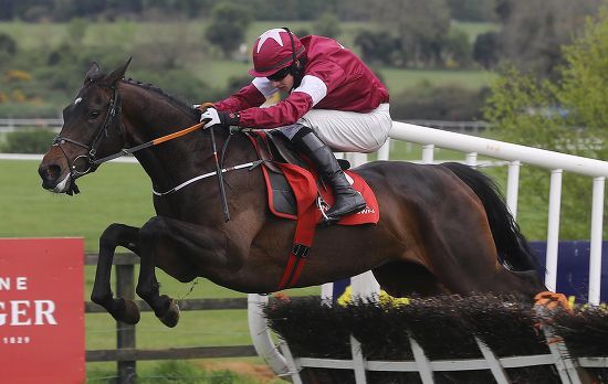 Irish Stallion Farms European Breeders Fund Editorial Stock Photo ...