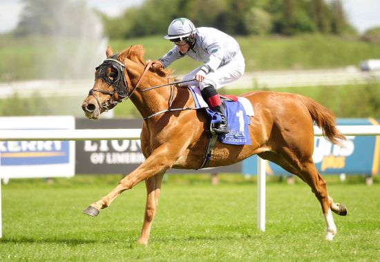 Limerick Hailstone Dylan Hogan Winning Trainer Editorial Stock Photo ...