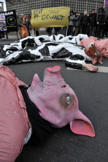 Protesters Dressed Cows Pigs Editorial Stock Photo - Stock Image ...