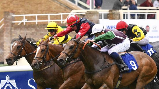 Winner Shadwell Stud Racing Excellence Apprentice Editorial Stock Photo ...