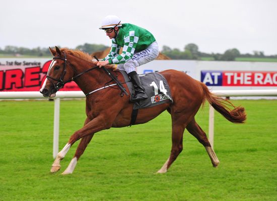 Fairyhouse Whitemountainfairy Shane Foley Win Foran Editorial Stock ...