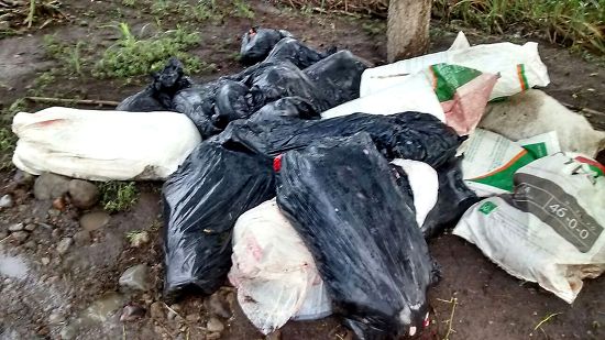 Remains Least Six People Aere Contained Editorial Stock Photo - Stock ...