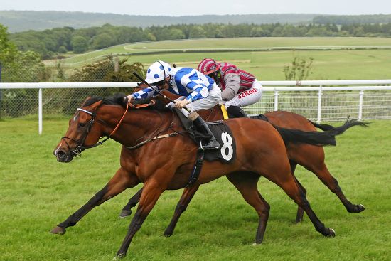 Zac Brown Ridden By David Egan Editorial Stock Photo - Stock Image ...