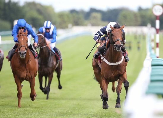 Marmajuck Bay Steve Drowne Win Haydock Editorial Stock Photo - Stock ...