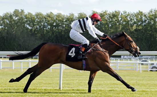 Major Ben James Wins Wiser Academy Editorial Stock Photo - Stock Image ...