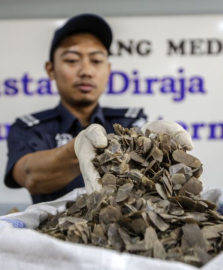 Royal Malaysian Customs Rmc Department Official Editorial Stock Photo ...