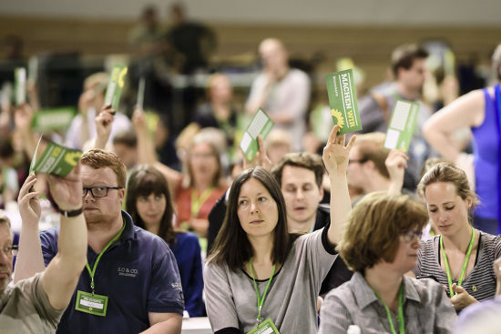 Participants Hold Voting Cards During Delegate Editorial Stock Photo ...