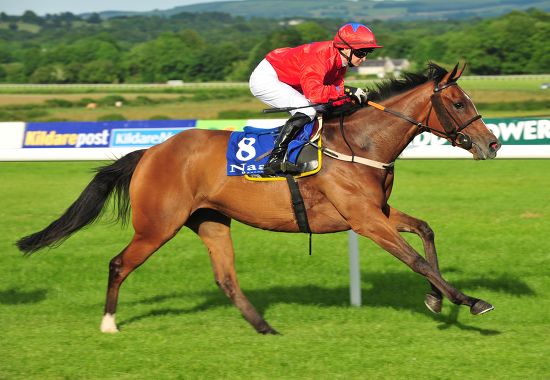 Naas Reinas Queen Danny Sheehy Win Editorial Stock Photo - Stock Image ...