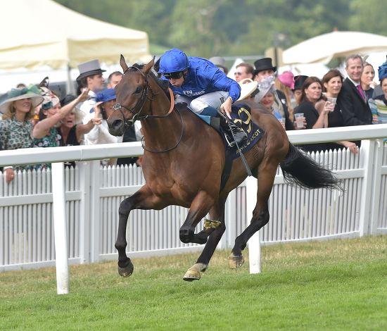 Rare Rhythm William Buick Wins Duke Editorial Stock Photo - Stock Image ...