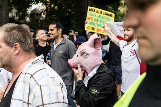 Edl Protester Wearing Pig Mask Marches Editorial Stock Photo - Stock ...