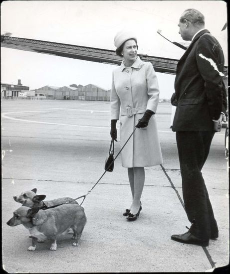 Queen Elizabeth Ii Dogs Picture Shows Editorial Stock Photo - Stock ...