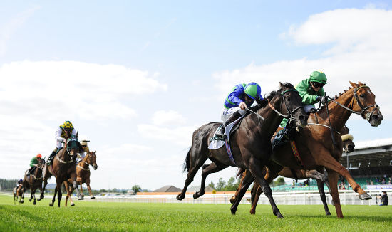 Curragh Zeftan Danny Sheehy Centre Beats Editorial Stock Photo - Stock ...