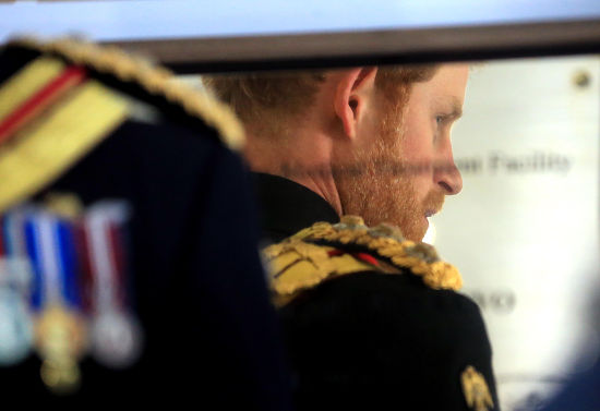 Prince Harry Officially Opens Aidan Maccarthy Editorial Stock Photo ...