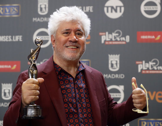 Spanish Director Pedro Almodovar Poes His Editorial Stock Photo - Stock ...