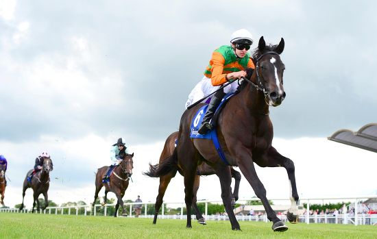 Fairyhouse Boragh Steps Donnacha Obrien Winning Editorial Stock Photo ...
