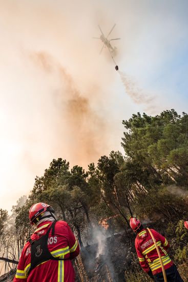 Helicopter Flies Overhead Firemen Fight Forest Editorial Stock Photo ...