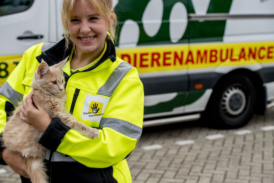 Animal Helpers Dierenbescherming On Patrol Their Editorial Stock Photo ...