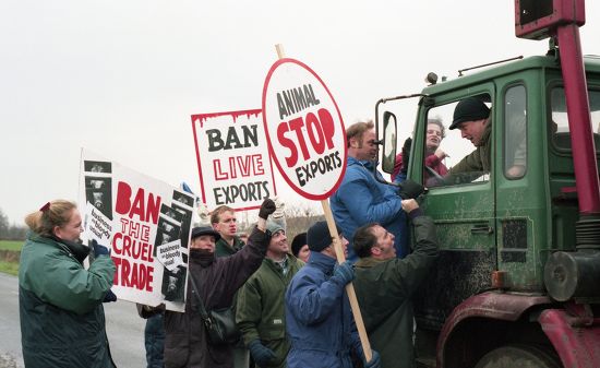 Kelly Roy Trapped Adlington Lorry Carrying Editorial Stock Photo ...