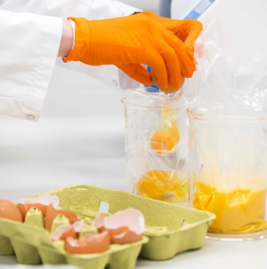 Laboratory Assistant Dutch Food Product Safety Editorial Stock Photo ...