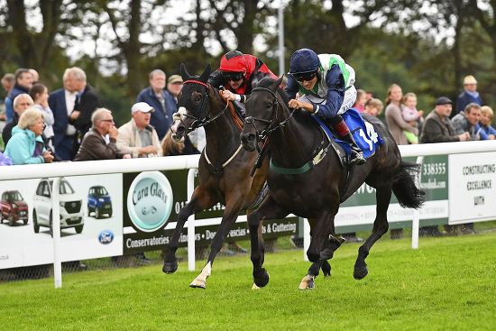 Winner Bathwick Tyres Salisbury Handicap Class Editorial Stock Photo ...