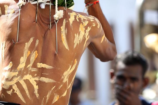 Sri Lankan Hindu Devotee Hangs Hooks Editorial Stock Photo - Stock ...