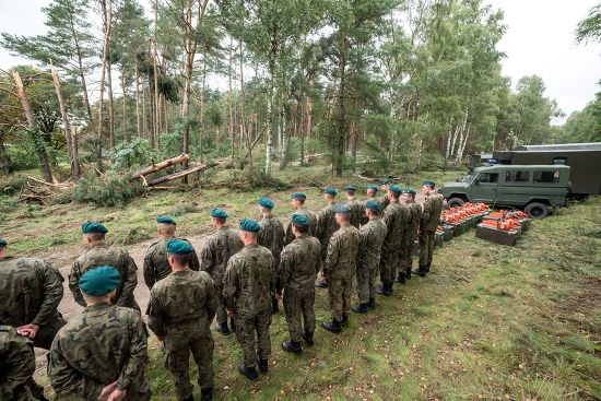 Group 33 Soldiers 2nd Engineer Regiment Editorial Stock Photo - Stock ...