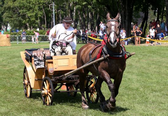 Polish Gorals Highlanders Compete Horsedrawn Carriage Editorial Stock ...