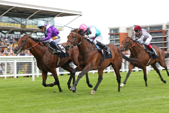 Purser Near Ridden By Ryan Moore Editorial Stock Photo - Stock Image ...
