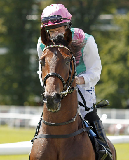 Purser Ryan Moore Winner Don Deadman Editorial Stock Photo - Stock ...