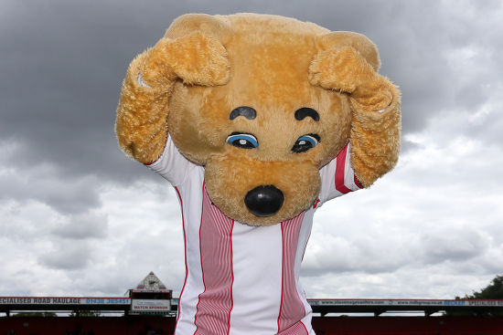 Boro Bear Poses Photograph During Stevenage Editorial Stock Photo ...