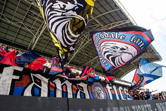 Crystal Palace Ultras Group Fanatics During Editorial Stock Photo ...