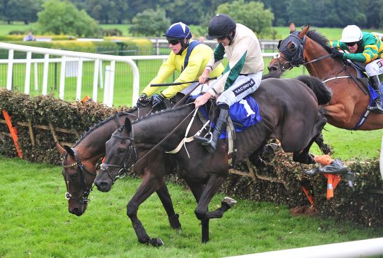 Killarney Robin Des Foret Ruby Walsh Editorial Stock Photo - Stock ...