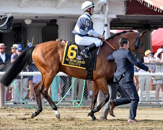 Erupt Sword Dancer Stakes Saratoga Race Editorial Stock Photo - Stock ...