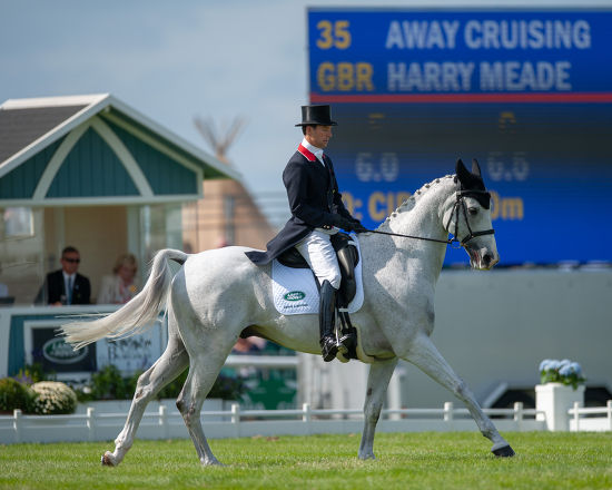 Harry Meade Gbr Riding Away Cruising Redaktionelles Stockfoto ...