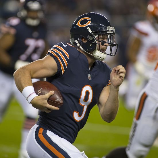 Chicago Illinois Us Chicago Bears 9 Editorial Stock Photo - Stock Image ...