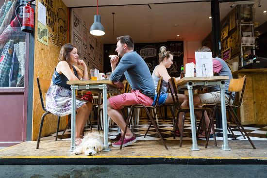 Couple Their Dog Eating Outside Boom Editorial Stock Photo - Stock ...