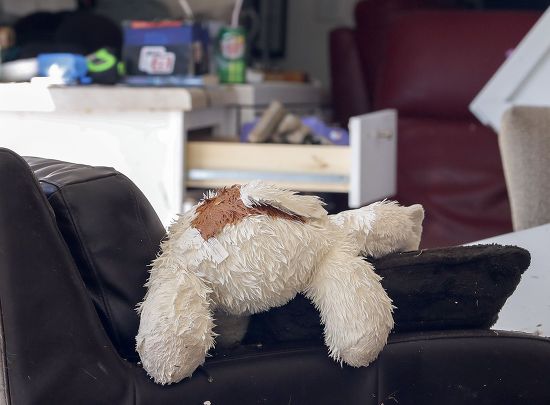 Stuffed Animal Inside Destroyed Home After Editorial Stock Photo ...