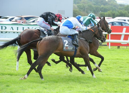 Listowel Lady Camelot Shane Foley Near Editorial Stock Photo - Stock ...