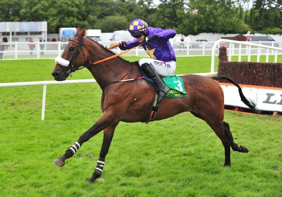 Listowel Icantsay Johnny Barry Leading Win Editorial Stock Photo ...