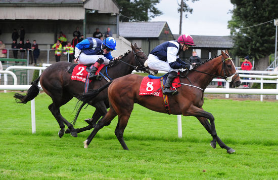 Gowran Park Lucky Mistake Danny Sheehy Editorial Stock Photo - Stock ...