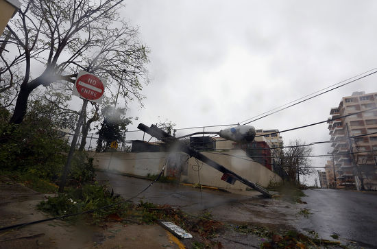 View Fallen Electrical Post Aftermath Hurricane Editorial Stock Photo ...