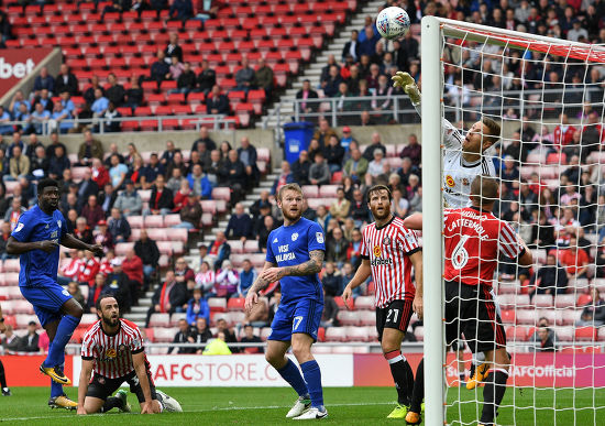 Robbin Ruiter Sunderland Palms Ball Away Editorial Stock Photo - Stock ...