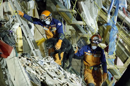 Members Japanese Rescue Service Crew Their Editorial Stock Photo ...