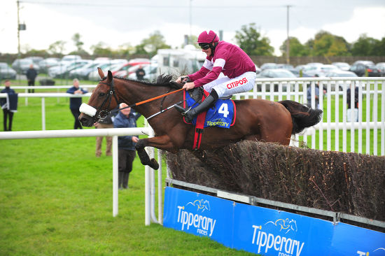 Tipperary Death Duty Davy Russell Survive Editorial Stock Photo - Stock ...