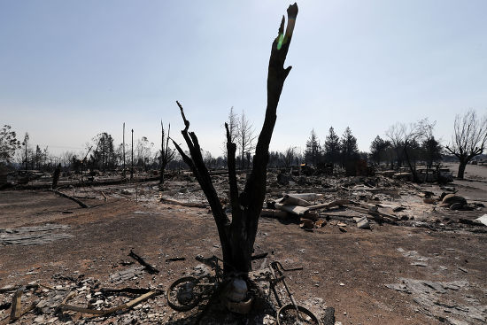 Burnt Out Tree Backyard Destroyed Home Editorial Stock Photo - Stock ...