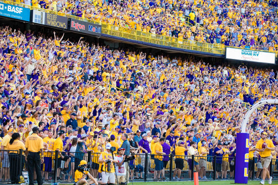Lsu Tigers Fans Cheer After Lsu Editorial Stock Photo - Stock Image ...